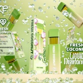 Favorites dispo | Favorite disposable - Favorites Dispos