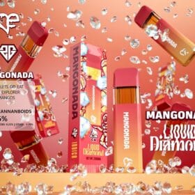 Favorites dispo | Favorite disposable - Favorites Dispos